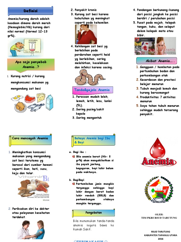 Leaflet Anemia | PDF