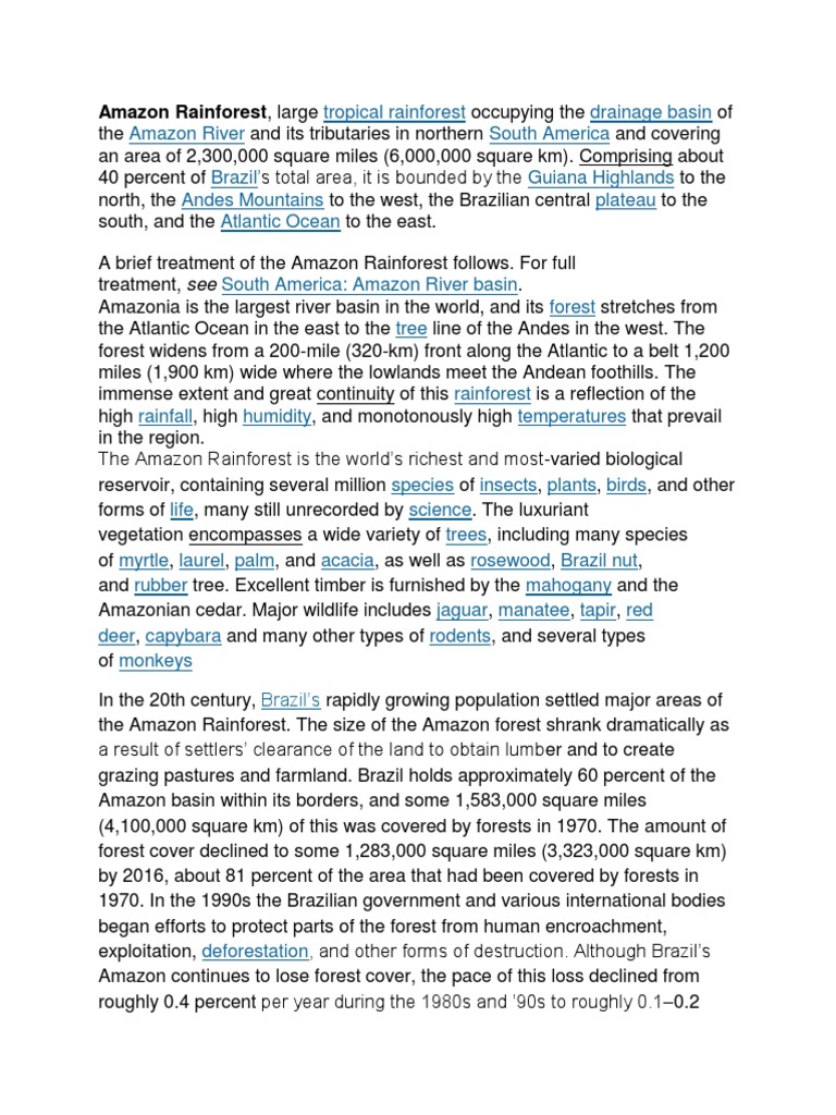 Amazon Rainforest | PDF | Amazon Rainforest | Natural Environment