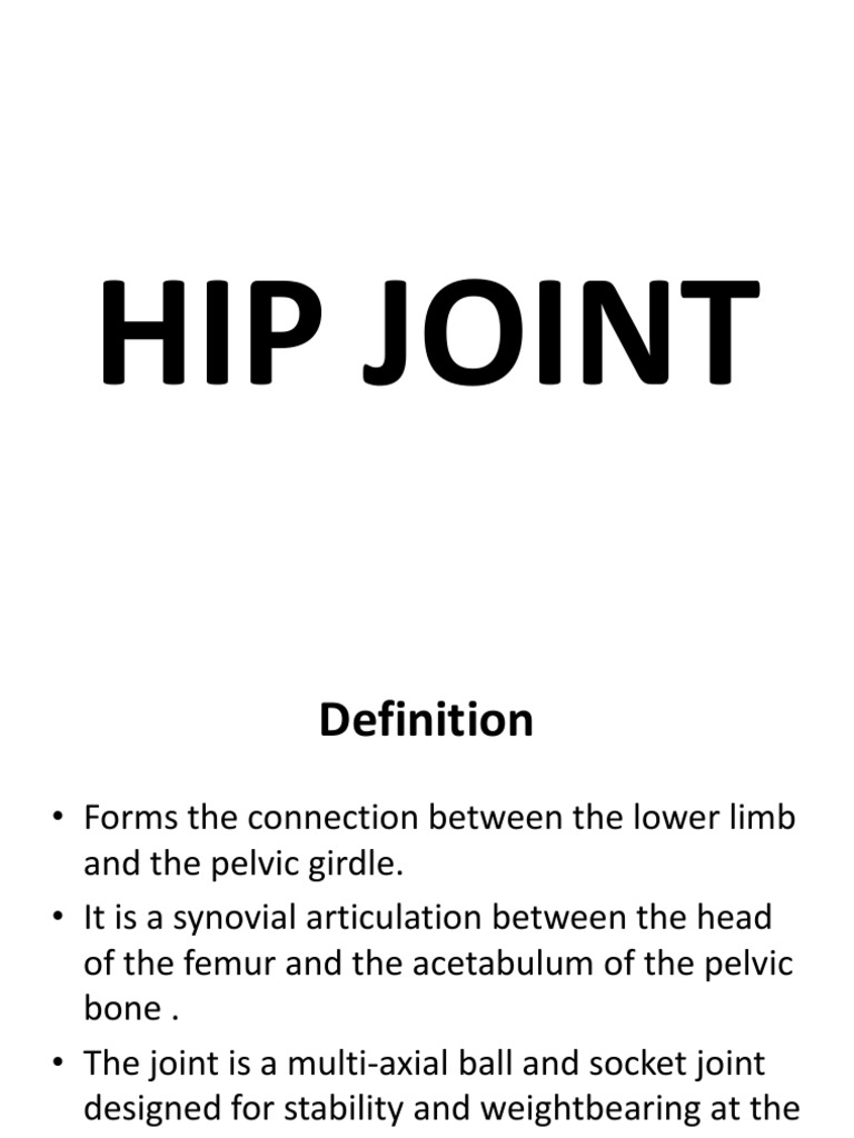 Hip Joint | PDF | Hip | Anatomical Terms Of Motion
