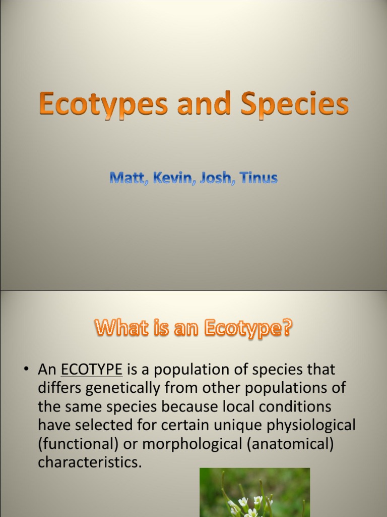 Ecotype V Species Revised | PDF
