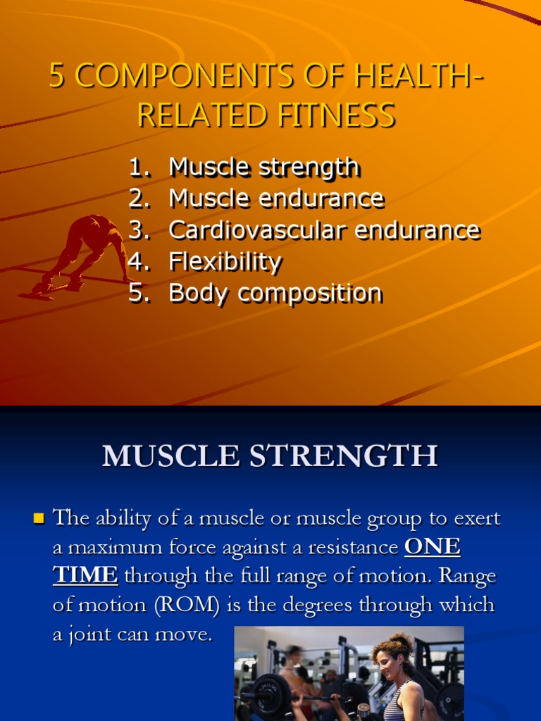 HRF Powerpoint | PDF | Physical Fitness | Flexibility (Anatomy)