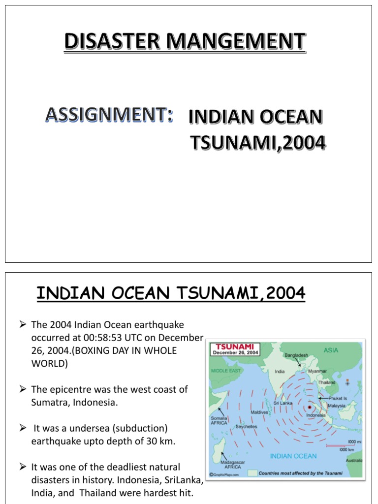 Disaster Management Tsunami | PDF | Earthquakes | Tsunami