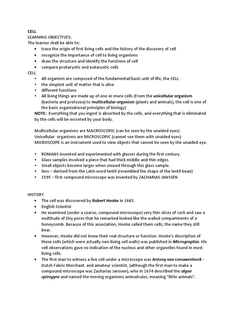 Cell Handout | PDF | Endoplasmic Reticulum | Cell Nucleus