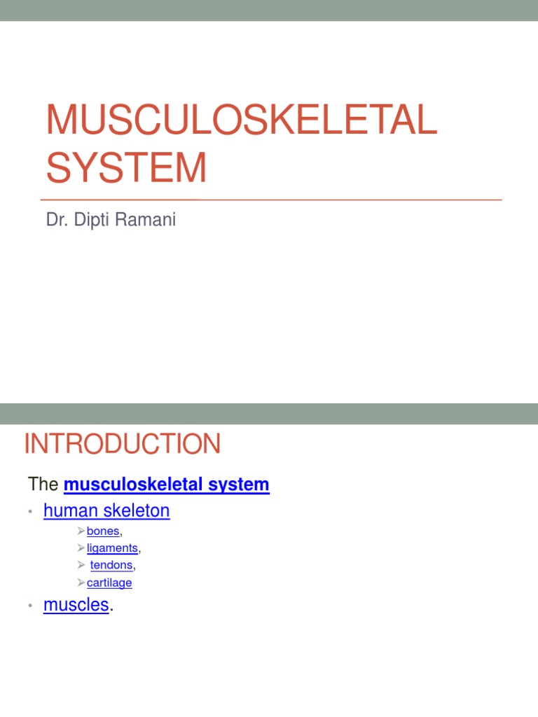 An In-Depth Look at the Structures, Functions, and Common Disorders of ...