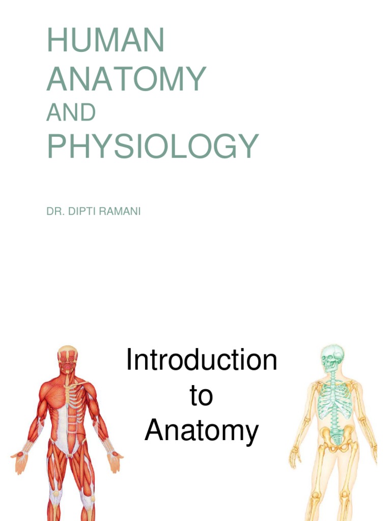 Introduction to Human Anatomy & Physiology | PDF | Anatomical Terms Of ...