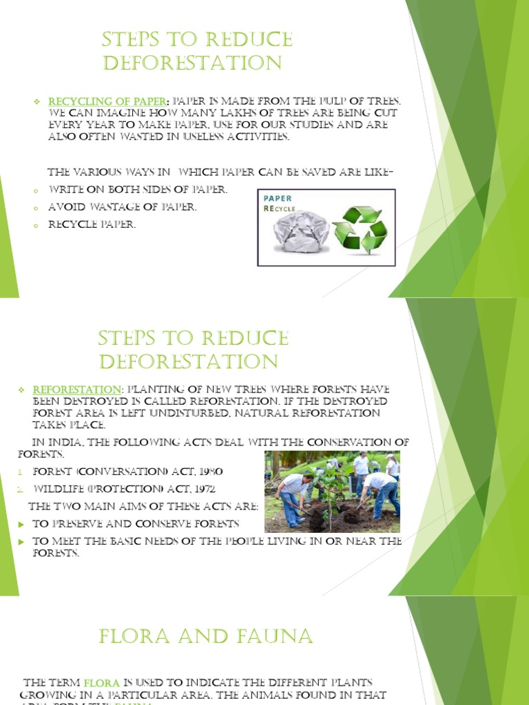 Steps to Reduce Deforestation | PDF | Forests | Plants