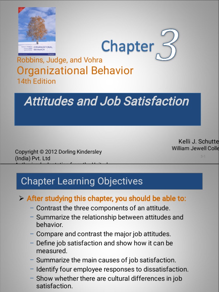 Organizational Behavior: Attitudes and Job Satisfaction | PDF | Attitude (Psychology) | Job ...