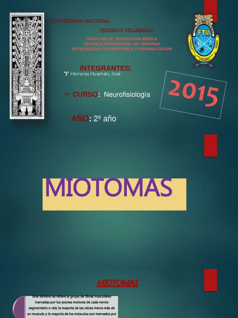 Miotomas | PDF | Extremidades (anatomía) | Neuroanatomía
