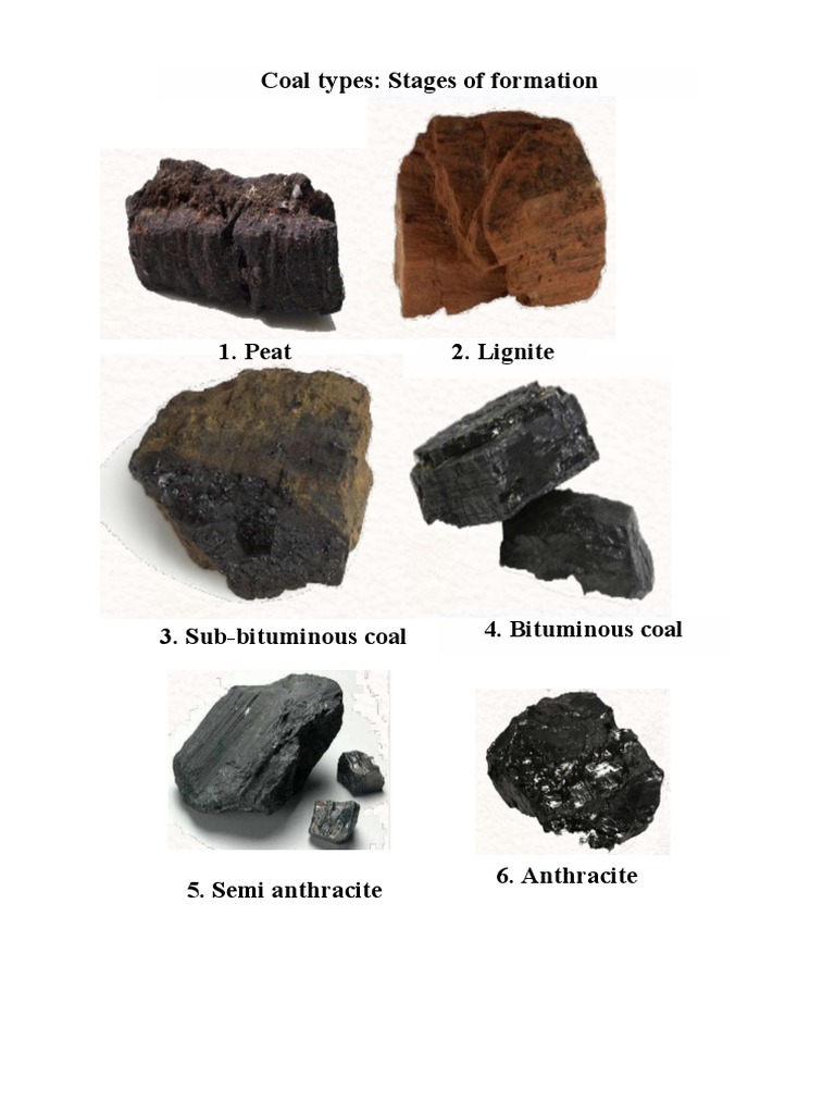 Coal Types: Stages of Formation | PDF