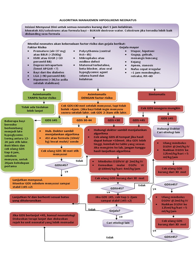 Algoritma Terapi Hipoglikemi Neonatus | PDF