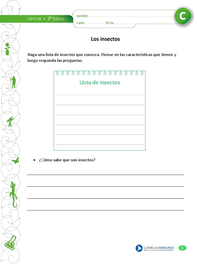 Datos Curiosos sobre Insectos para Niños | PDF