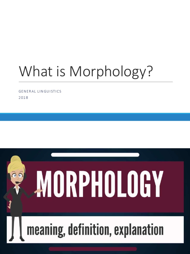 What Is Morphology Pdf Part Of Speech Morphology Linguistics
