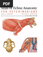 Dog Anatomy | PDF