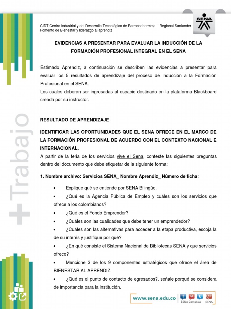 Evidencias Proceso de Induccion | PDF | Aprendizaje | Cognición