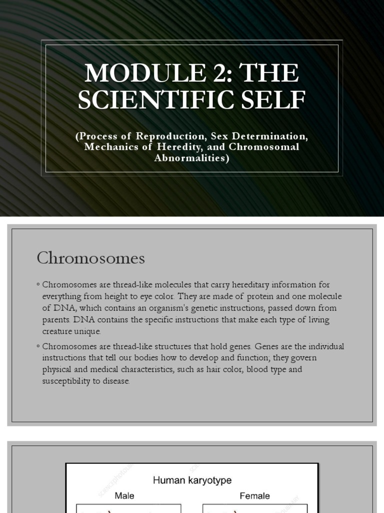 Module 2: The Scientific Self (Understanding The Self) | PDF ...