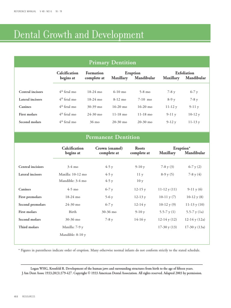 Dental Growth and Development: Primary Dentition | PDF | Dental Anatomy ...