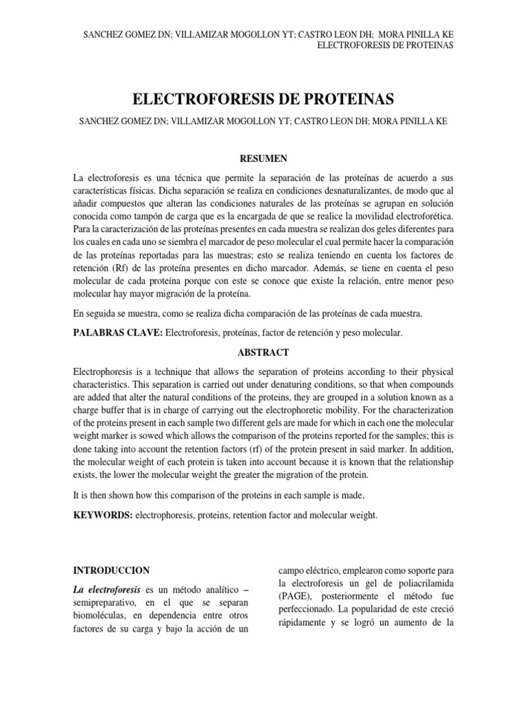 Informe de Electroforesis de Proteinas | PDF | Electroforesis | Aminoácidos