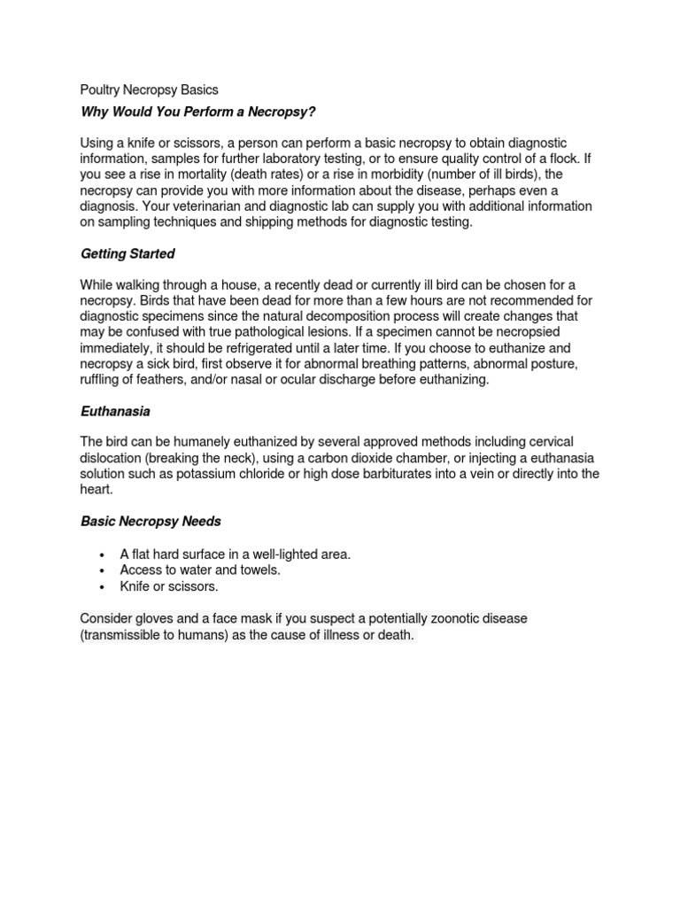 Poultry Necropsy Basics | PDF | Gastrointestinal Tract | Autopsy