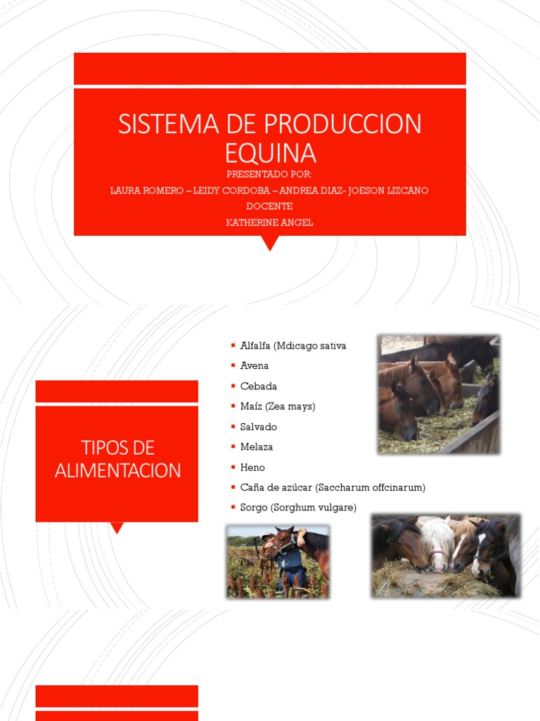 Sistema de Produccion Equina. | PDF | Melaza | Alimentos