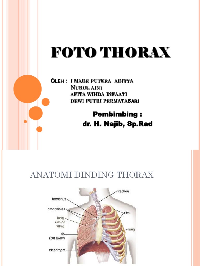 Foto Thorax Normal & Variasi Normal | PDF