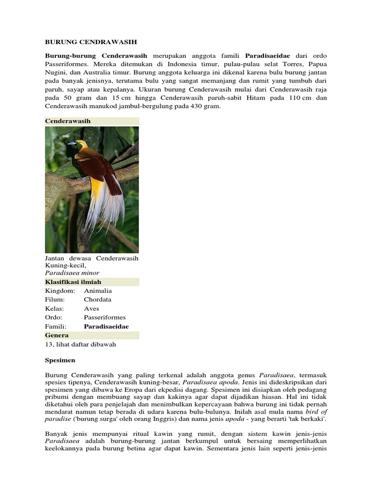 Burung Cendrawasih | PDF