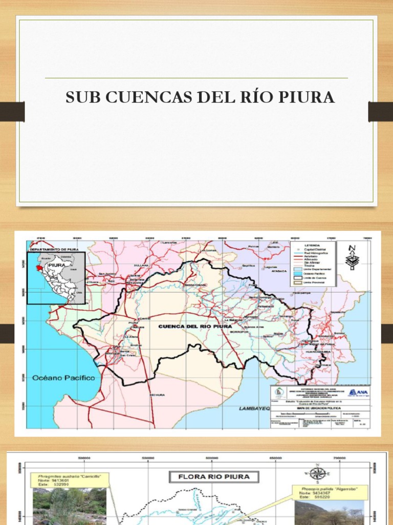 Sub Cuencas Del Río Piura | PDF | Desierto | Río
