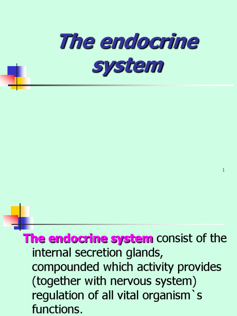 The Endocrine System | PDF | Endocrine System | Pituitary Gland