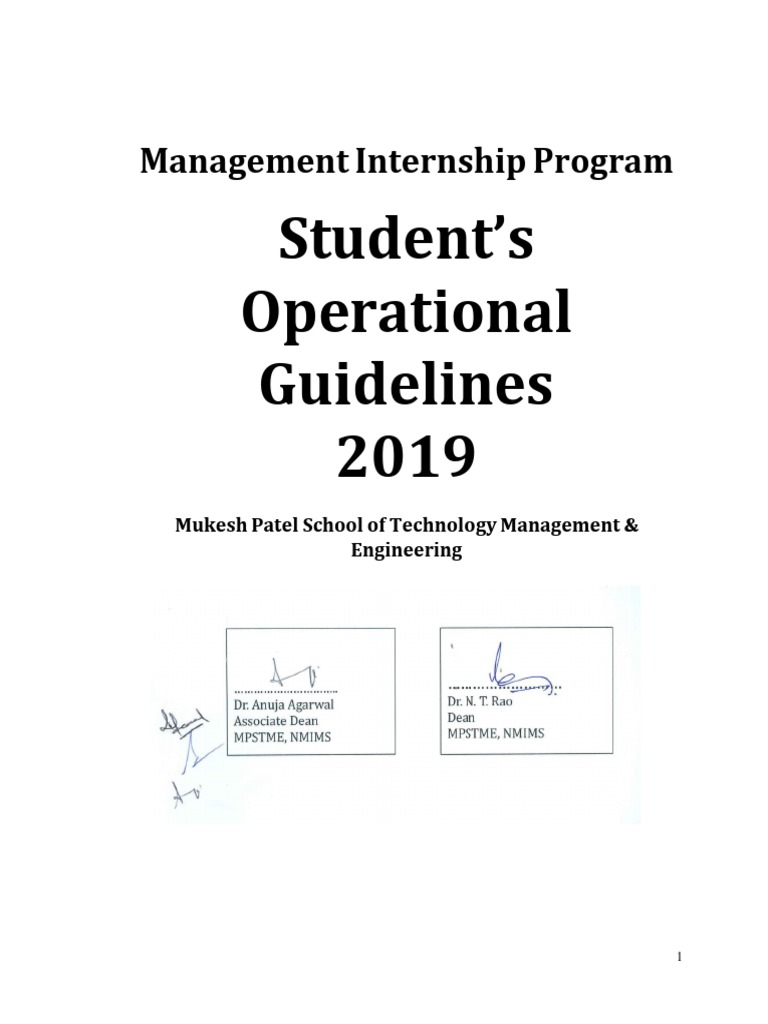 MIP Student Guidelines 2019 | PDF | Mentorship | Master Of Business ...