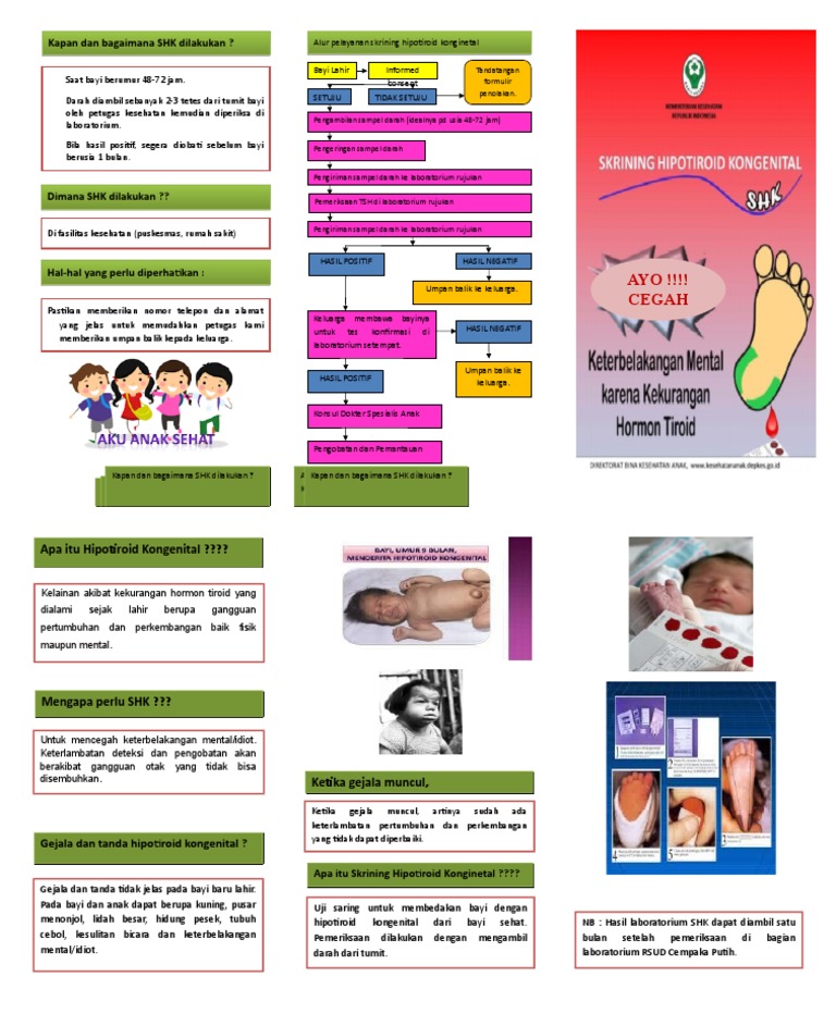 Leaflet SHK Fix | PDF