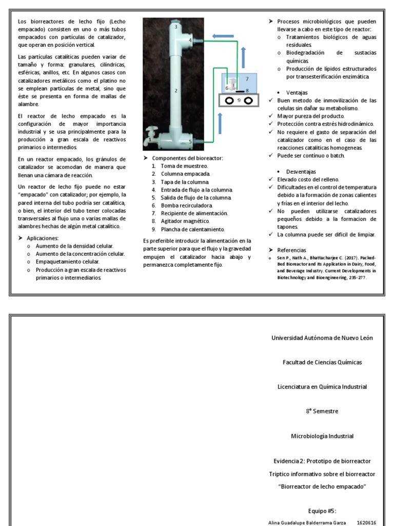Los Biorreactores de Lecho Fijo | PDF | Catálisis | Science