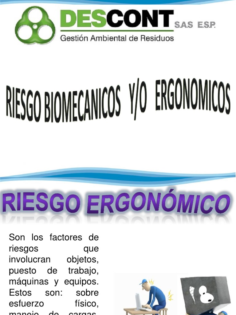 Manejo Manual de Carga e Higiene Postural | PDF | Hombro | Sistema musculoesquelético