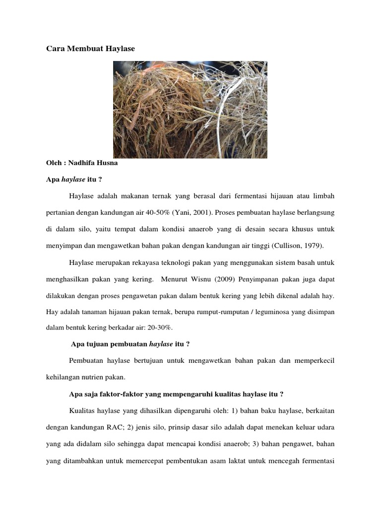 Pembuatan Haylase untuk Pakan Ternak | PDF | Teknologi & Rekayasa