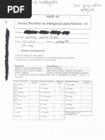 Wisc V Protocolo | PDF