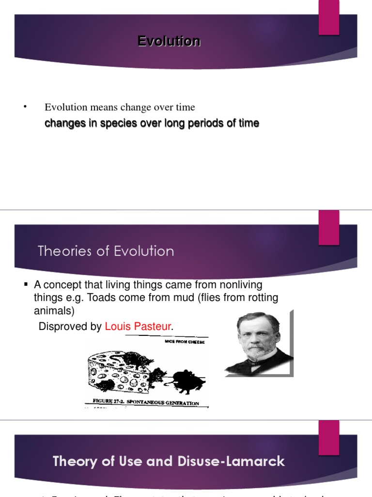 Evolution: - Evolution Means Change Over Time Changes in Species Over ...