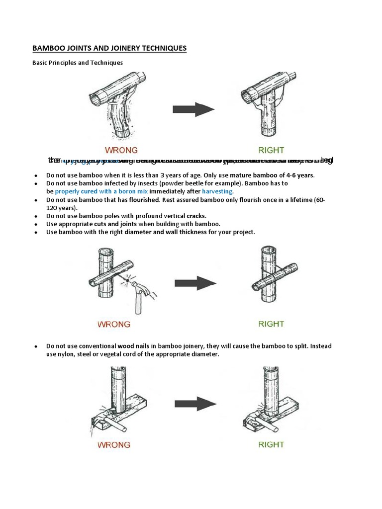 Bamboo | PDF | Bamboo | Lumber