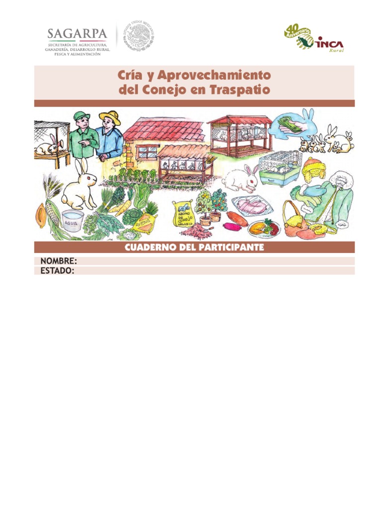 Manejo De Conejos De Traspatio Pdf Carne Alimentos