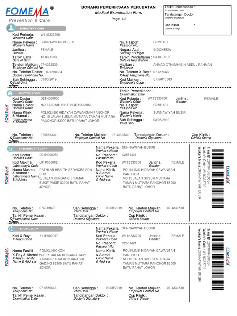 Fomema | PDF | Physical Examination | Government And Personhood