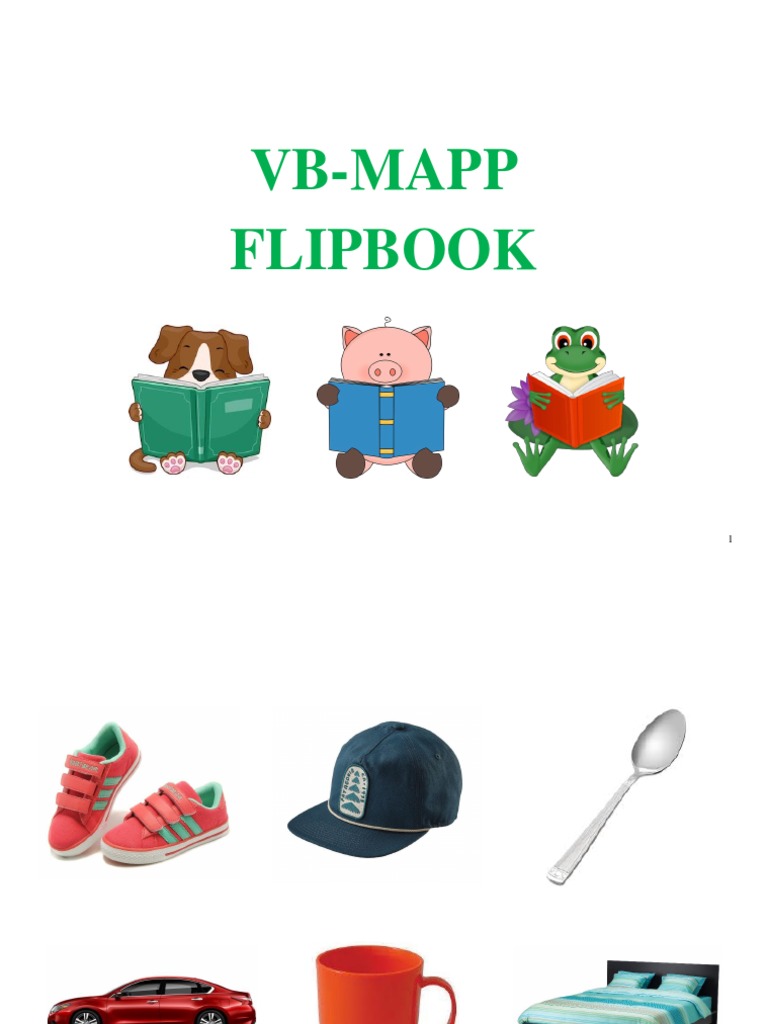 VB MAPP Flipbook | PDF