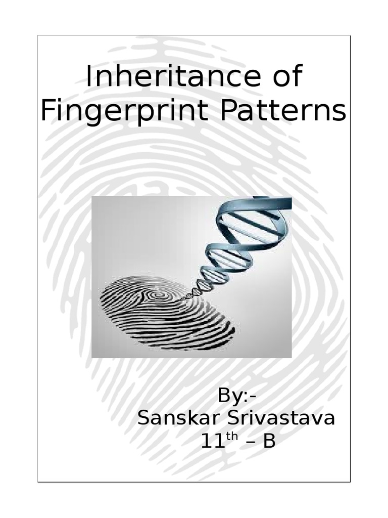 Inheritance of Fingerprint Patterns | PDF | Fingerprint | Protein Isoform