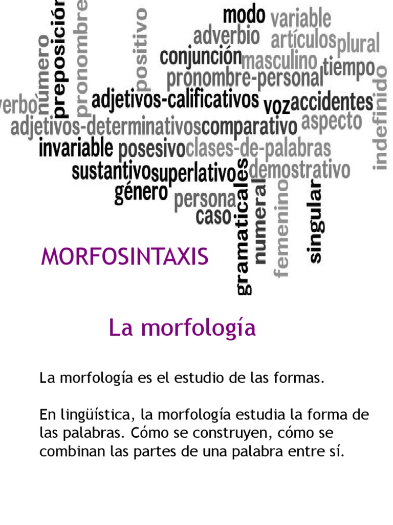 Morfo Clase | PDF | Morfología (Lingüística) | Palabra