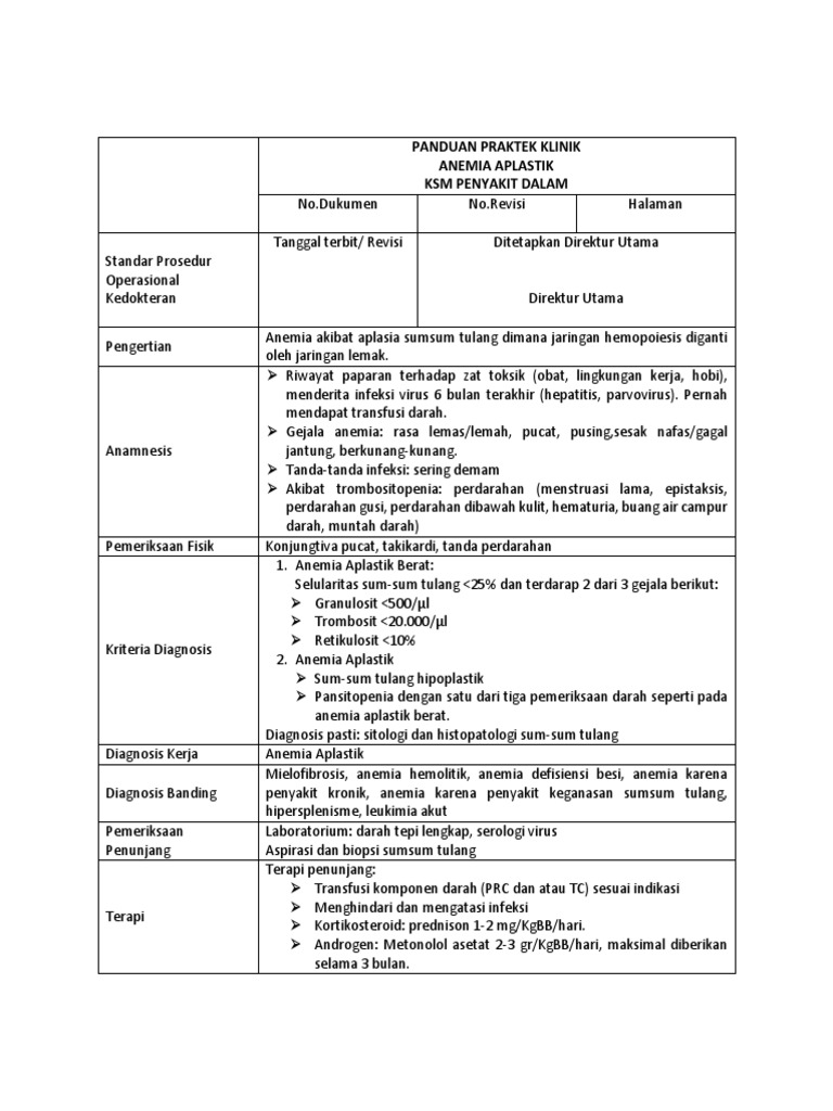 PPK Anemia Aplastik | PDF