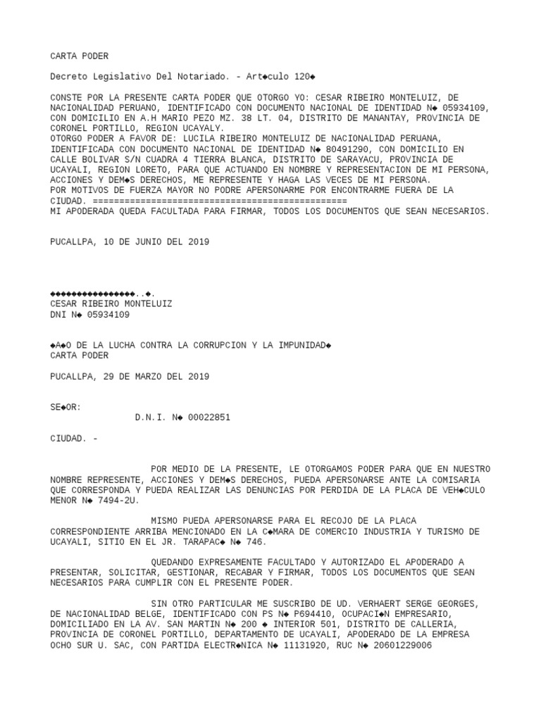 Carta Poder Simple. | Descargar gratis PDF | Gobierno | Agitación