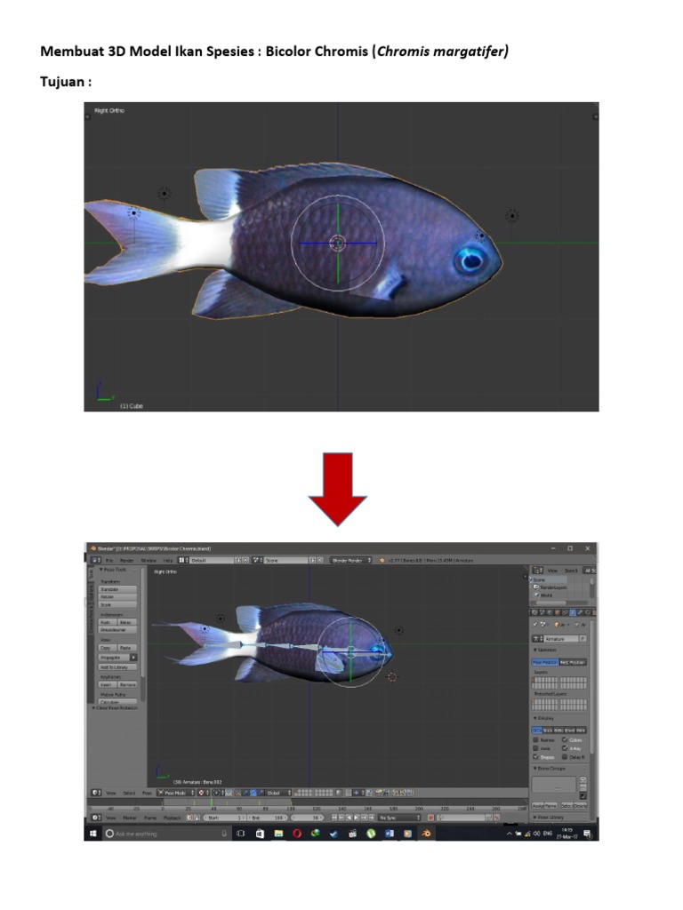 Rigging 3D Model Ikan Bicolor Chromis | PDF
