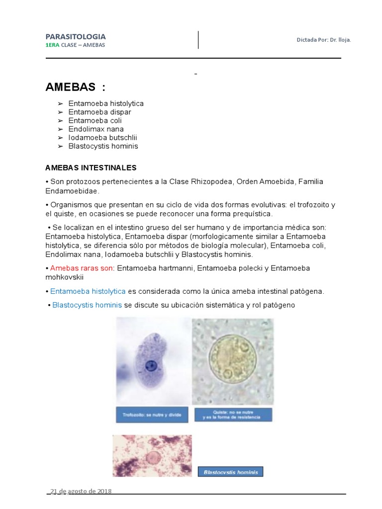 An Introduction to Intestinal Amebas: Classification, Pathogenesis and ...