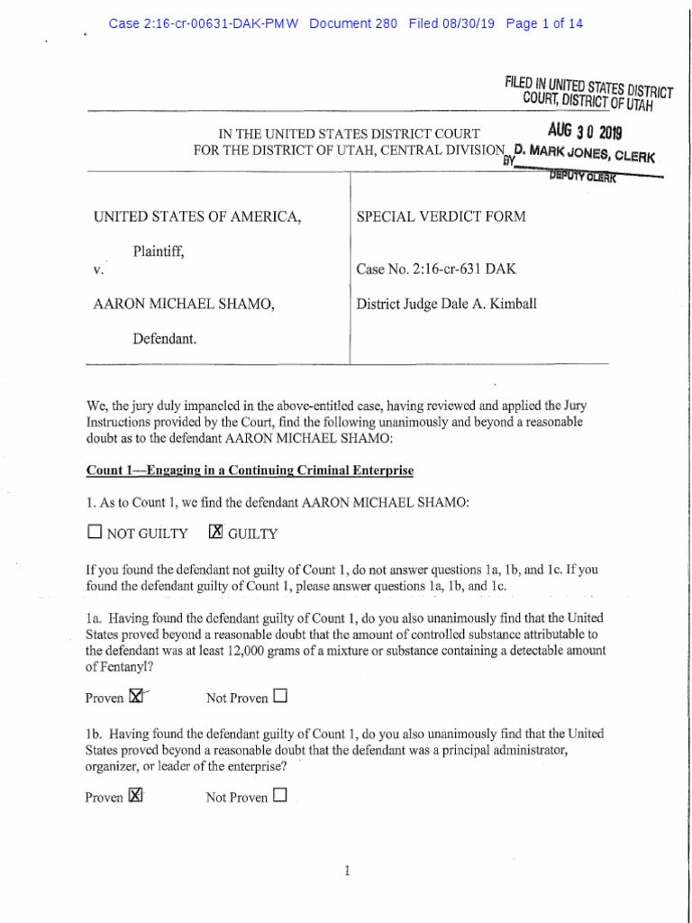 Aaron Shamo Jury Verdict Form | Verdict | Public Law | Free 30-day ...