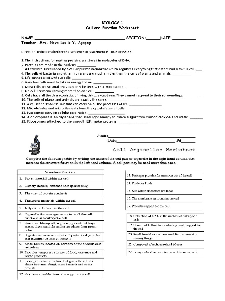 Biology 1 Cell and Function Worksheet NAME - SECTION: - DATE - Teacher ...