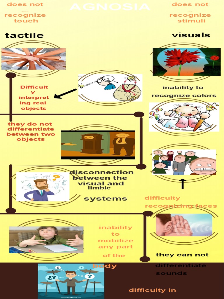 Agnosia | PDF | Neurological Disorders | Epistemology