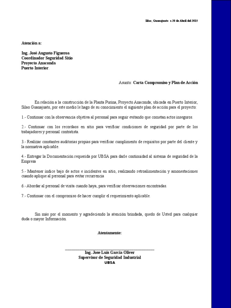 Carta de Compromiso y Plan de Acción | PDF | Negocios