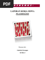 Laporan Biologi (Plasmolisis & Krenasi) | PDF