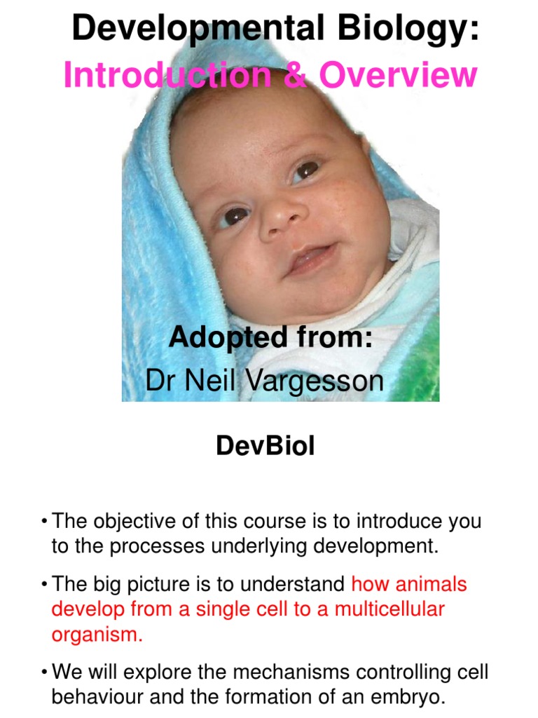 Introduction & Overview: Developmental Biology | PDF | Developmental ...